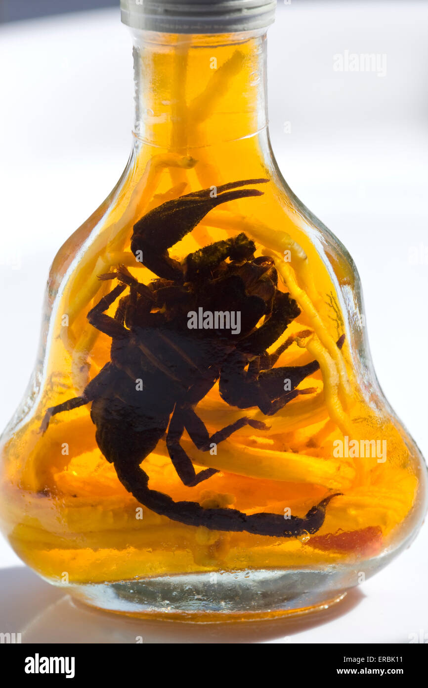 Scorpion liquor hi-res stock photography and images - Alamy