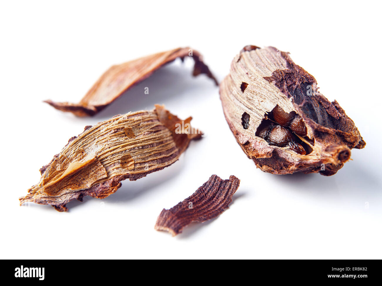 Black cardamom pods isolated on white background Stock Photo - Alamy