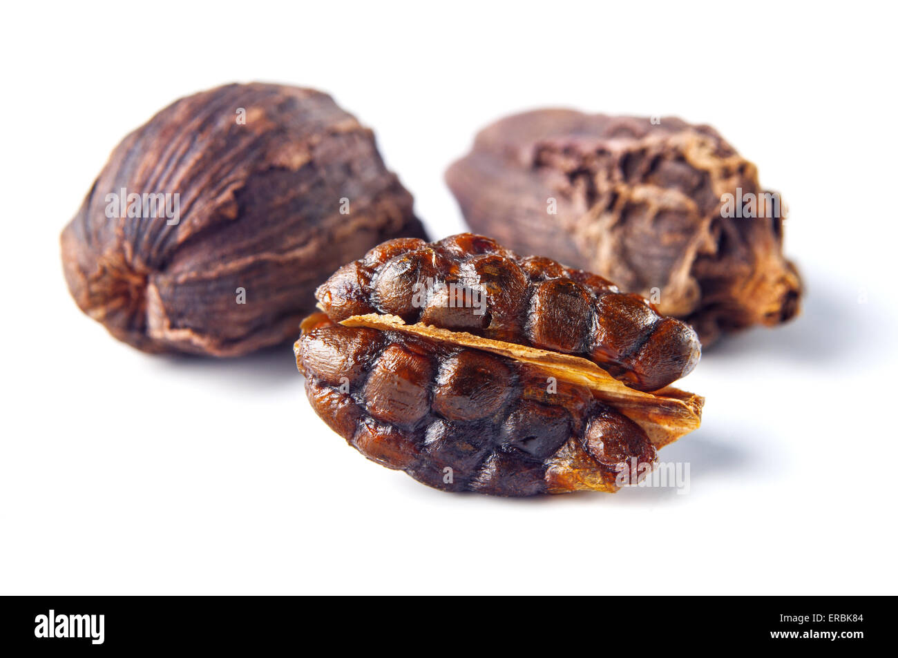 Black cardamom pods isolated on white background Stock Photo - Alamy
