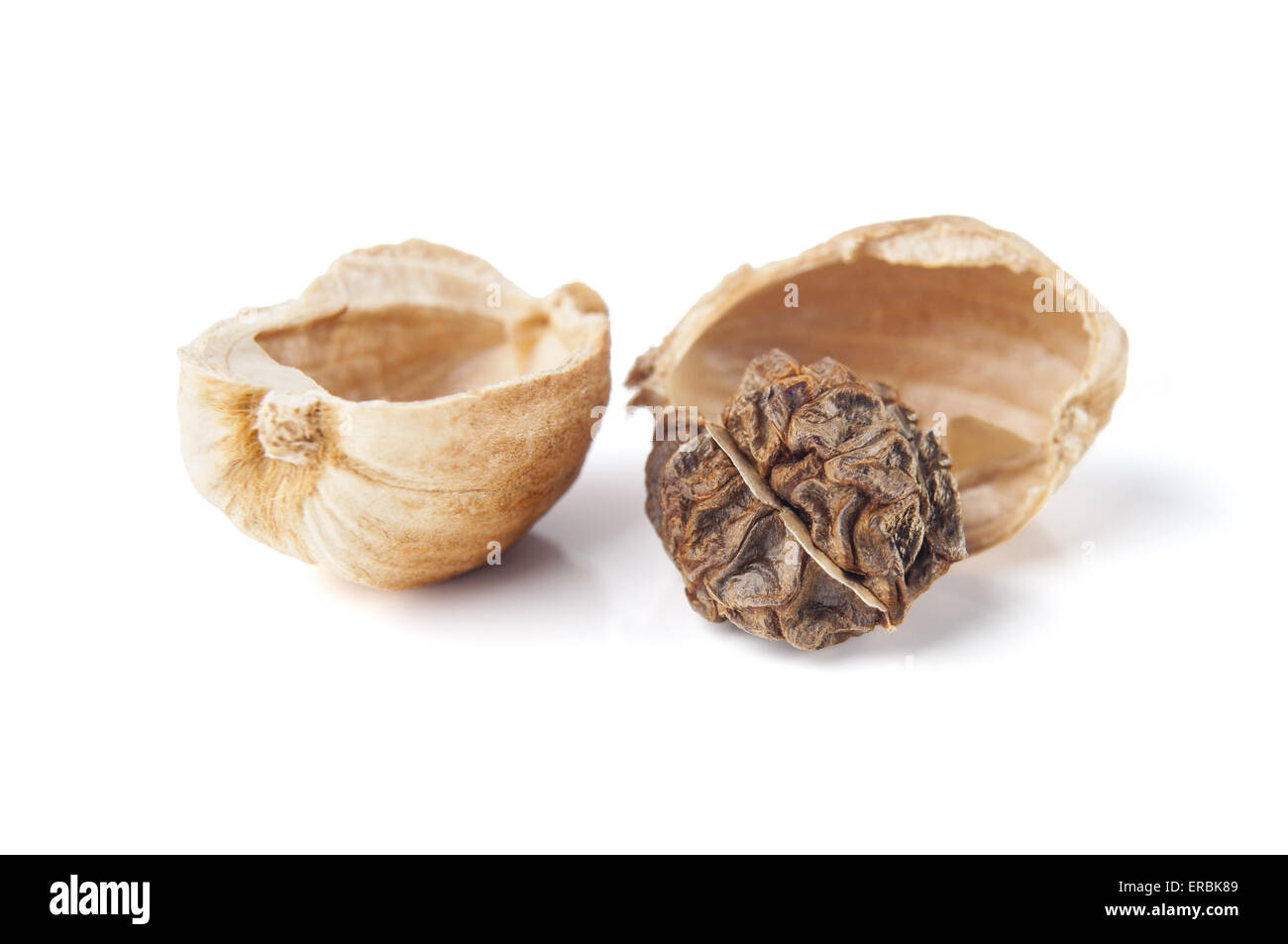 White cardamom isolated on white background closeup Stock Photo - Alamy
