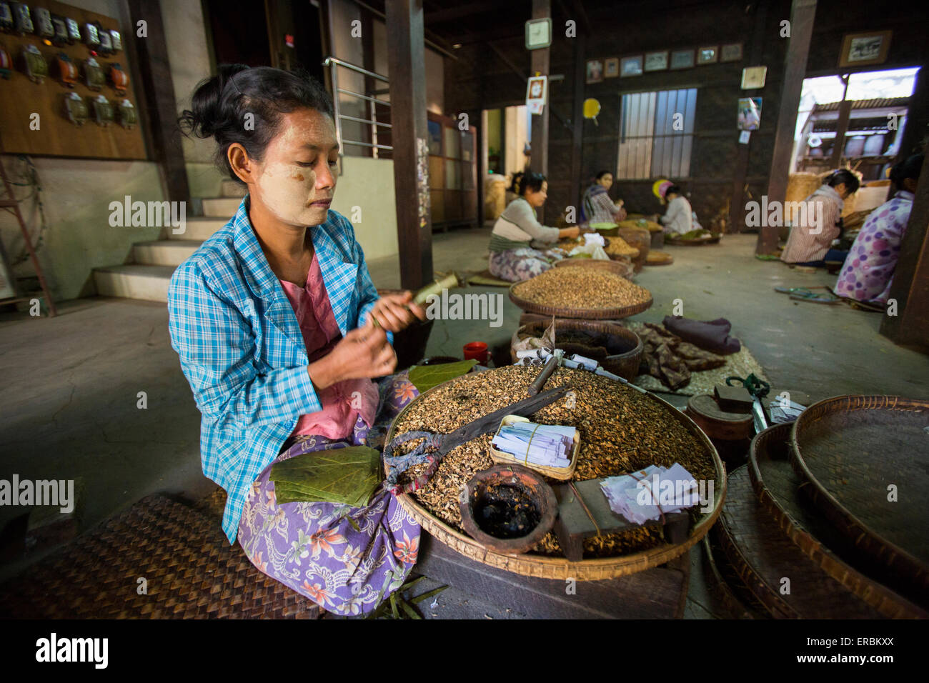 Cheroot factory in Pakokku town near Monywa Myanmar Stock Photo - Alamy