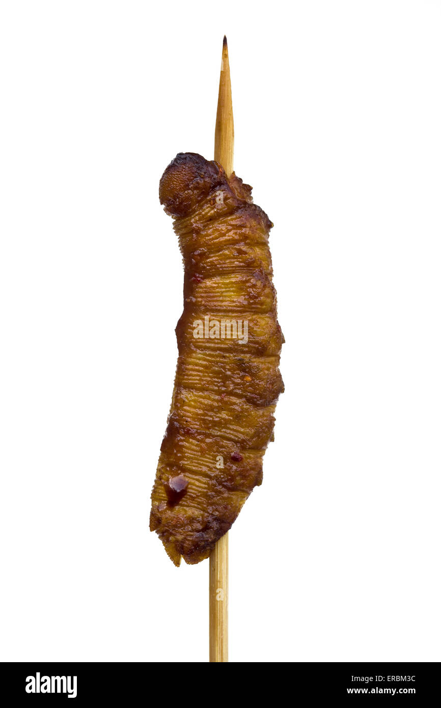 Witchety grubs hi-res stock photography and images - Alamy