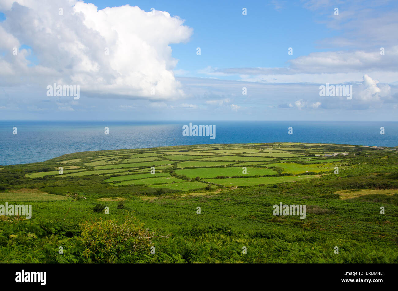 View from moorland in West Cornwall across small fields to the Atlantic ...