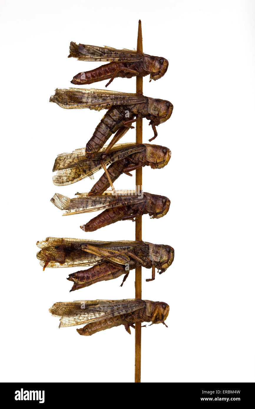 Fried bugs sold at market hi-res stock photography and images - Alamy