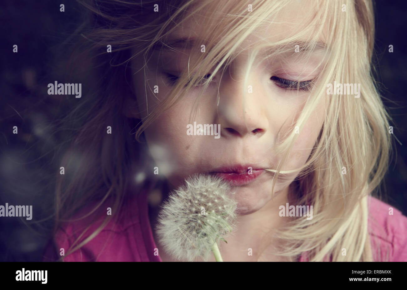 Portrait of caucasian blond girl blowing flower dandelion seeds Stock ...