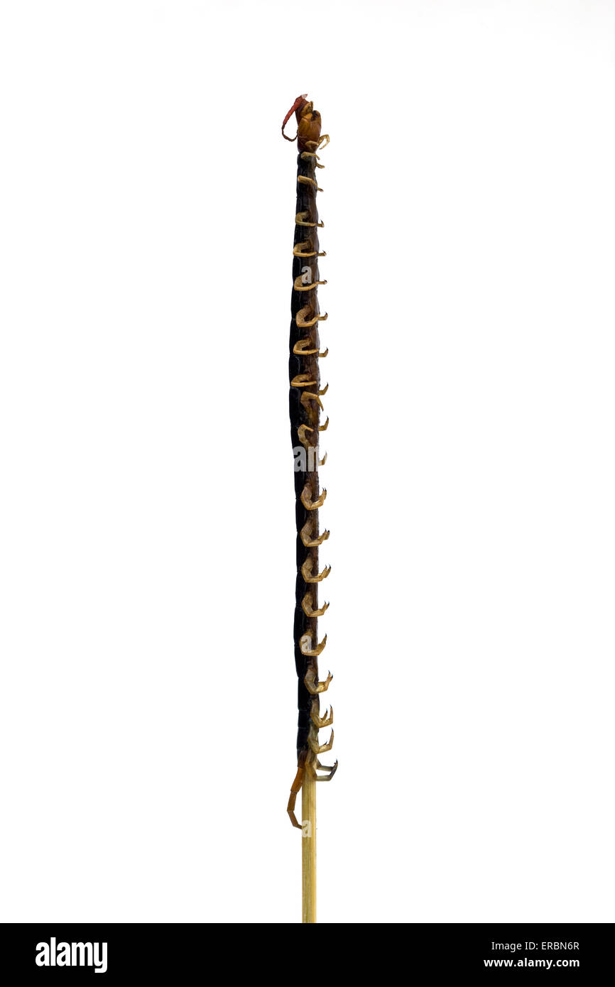 Cooked or Fried Centipede on a stick as sold at Donghuamen Night market ...