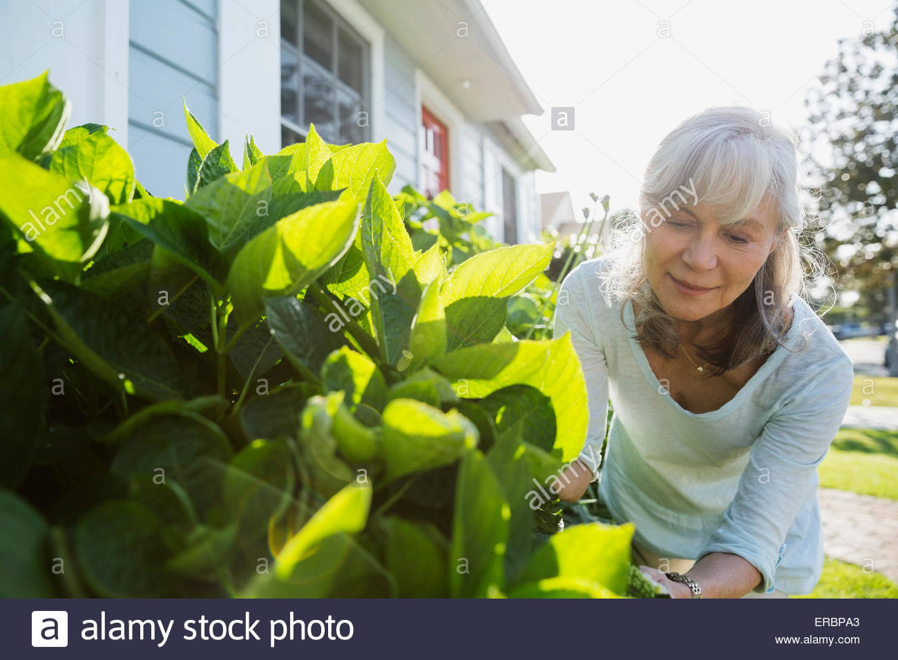 Senior japanese woman hi-res stock photography and images - Alamy