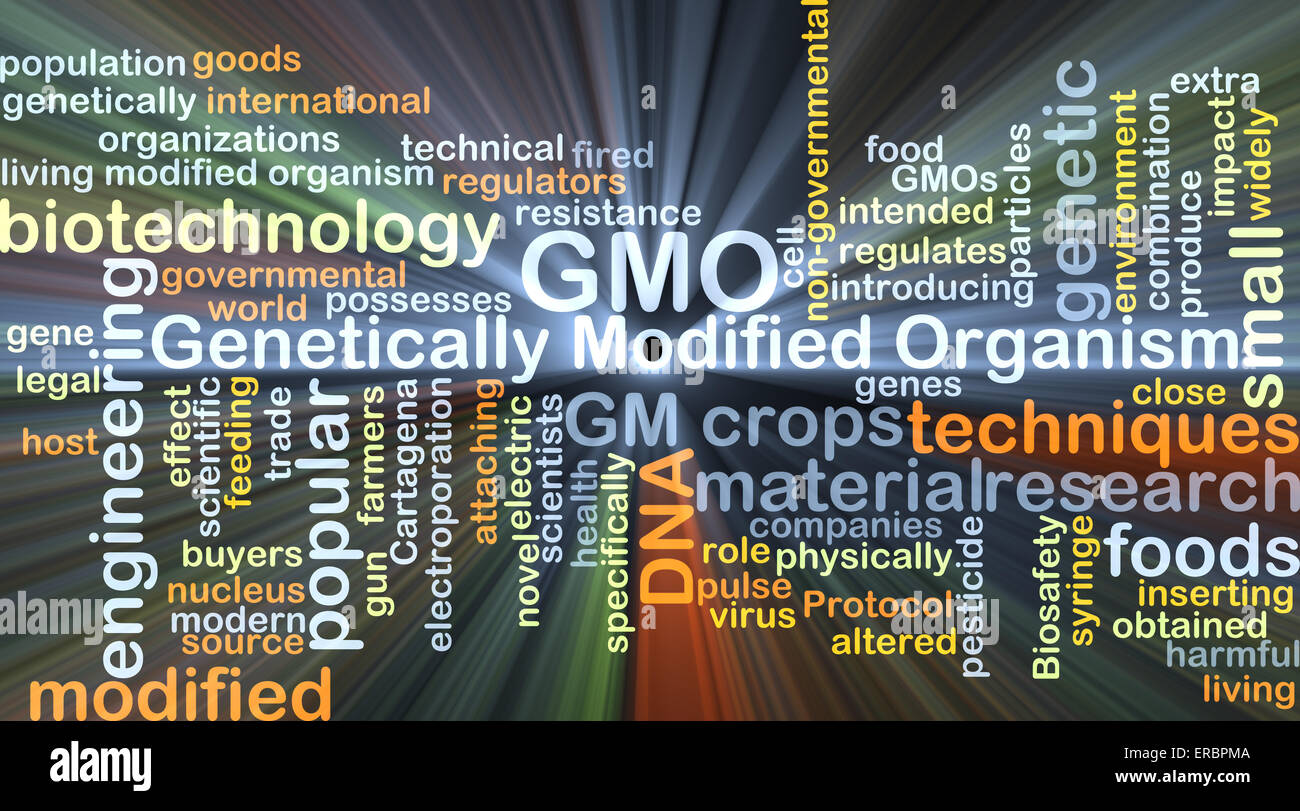 Background concept wordcloud illustration of genetically modified ...