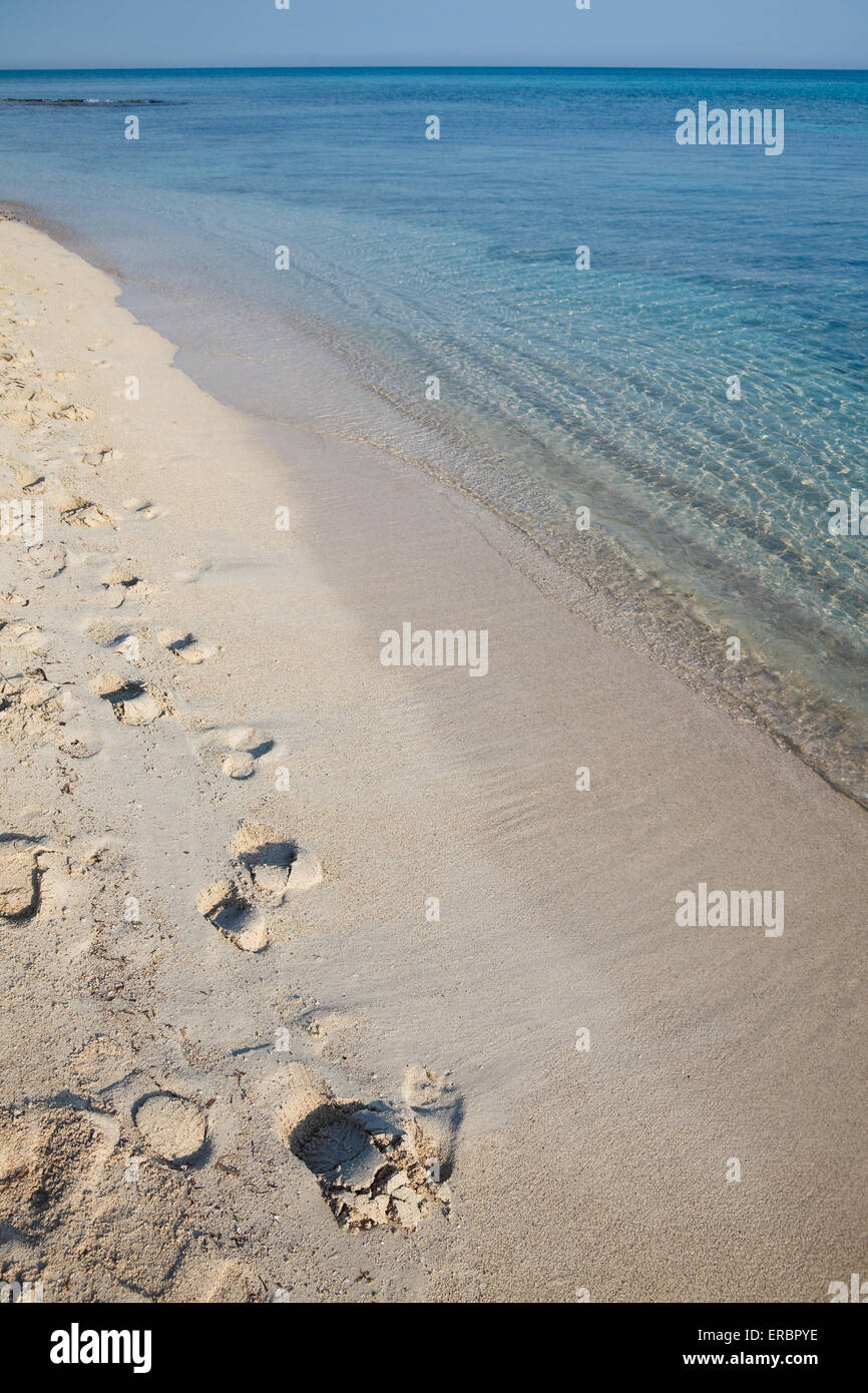 Footprints on the sand along the ocean shore Stock Photo - Alamy
