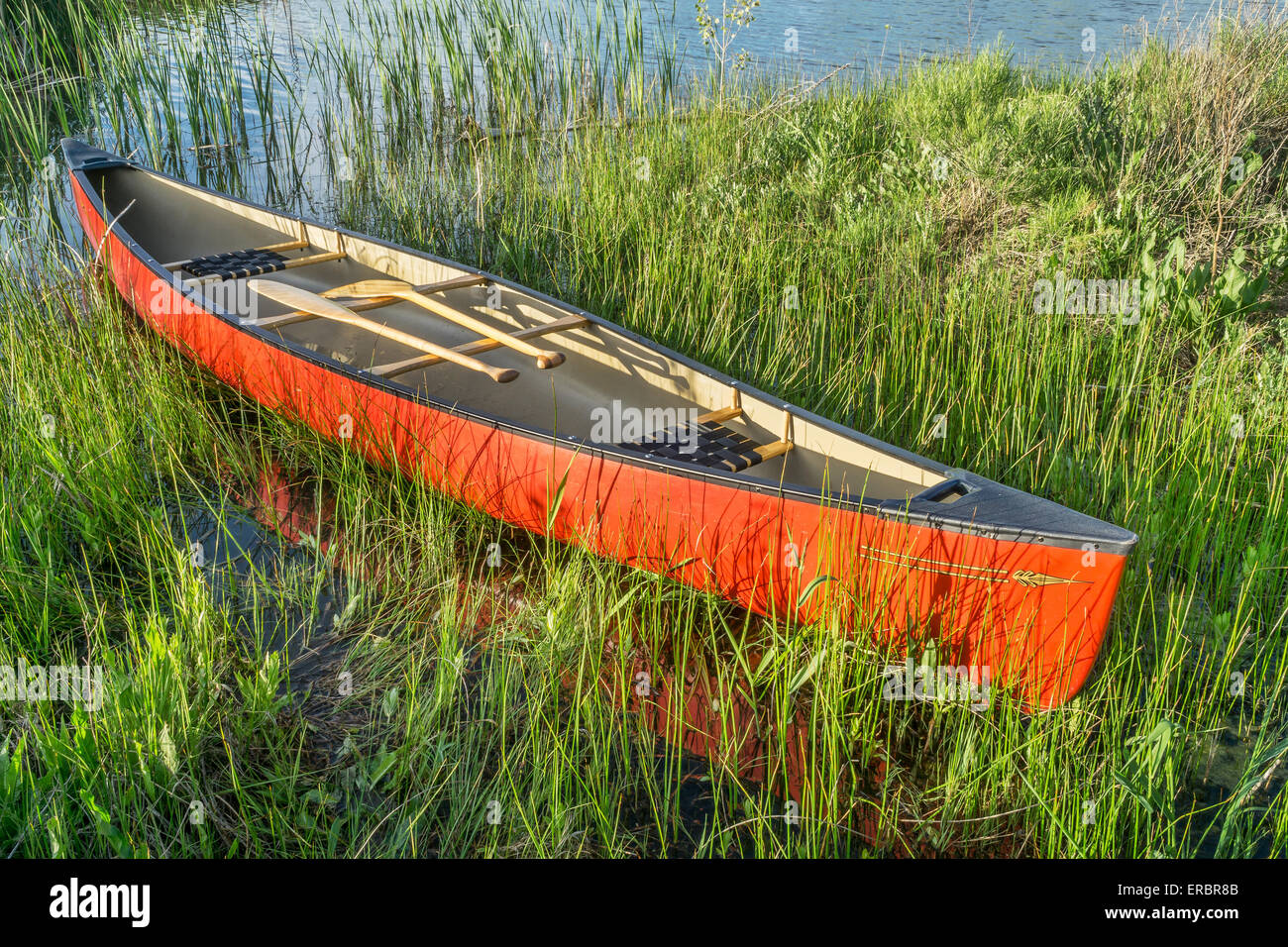 red canoe with wooden paddles on a grassy lake shore Stock Photo - Alamy