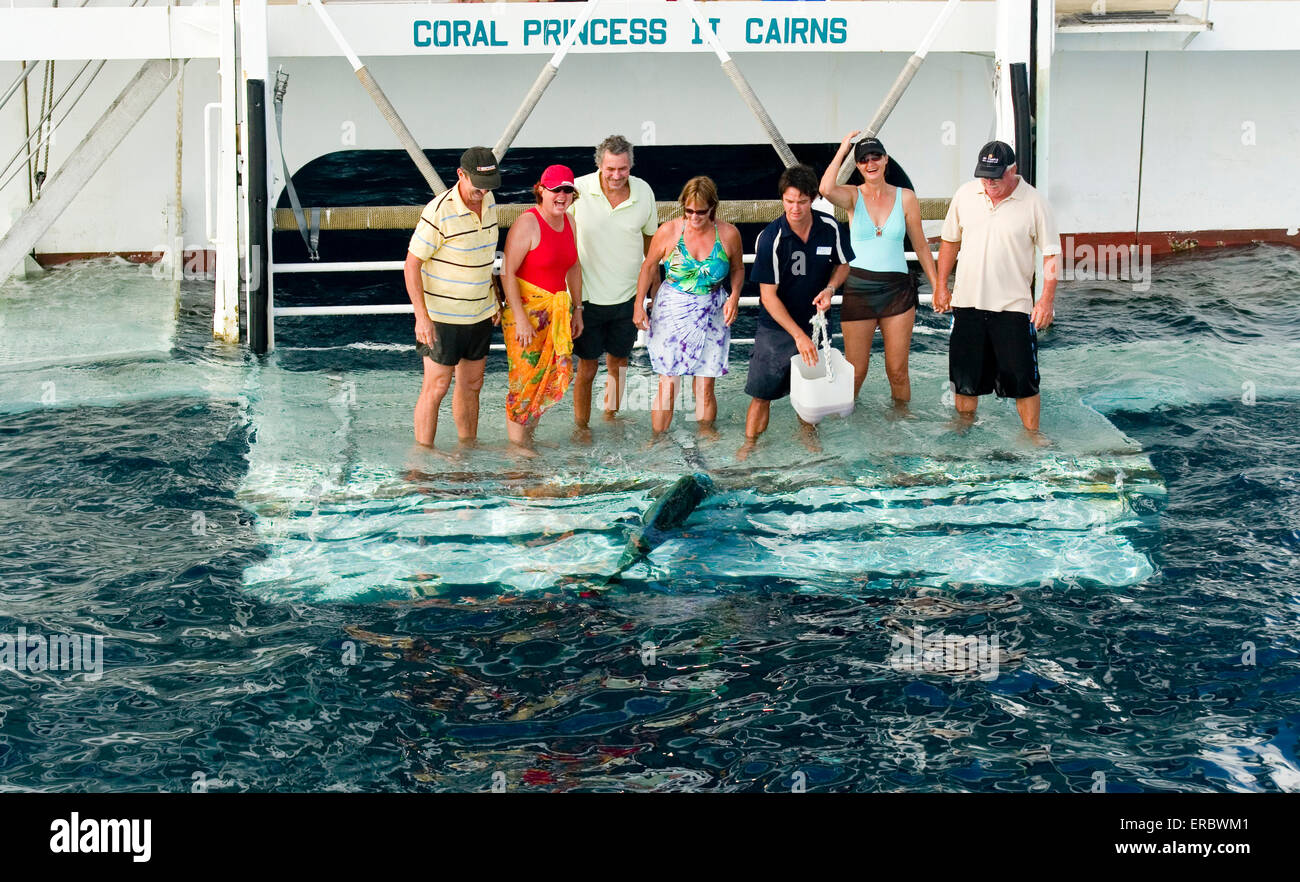 Feeding giant reef fish on a Coral Princess Cruises boat on the Great ...