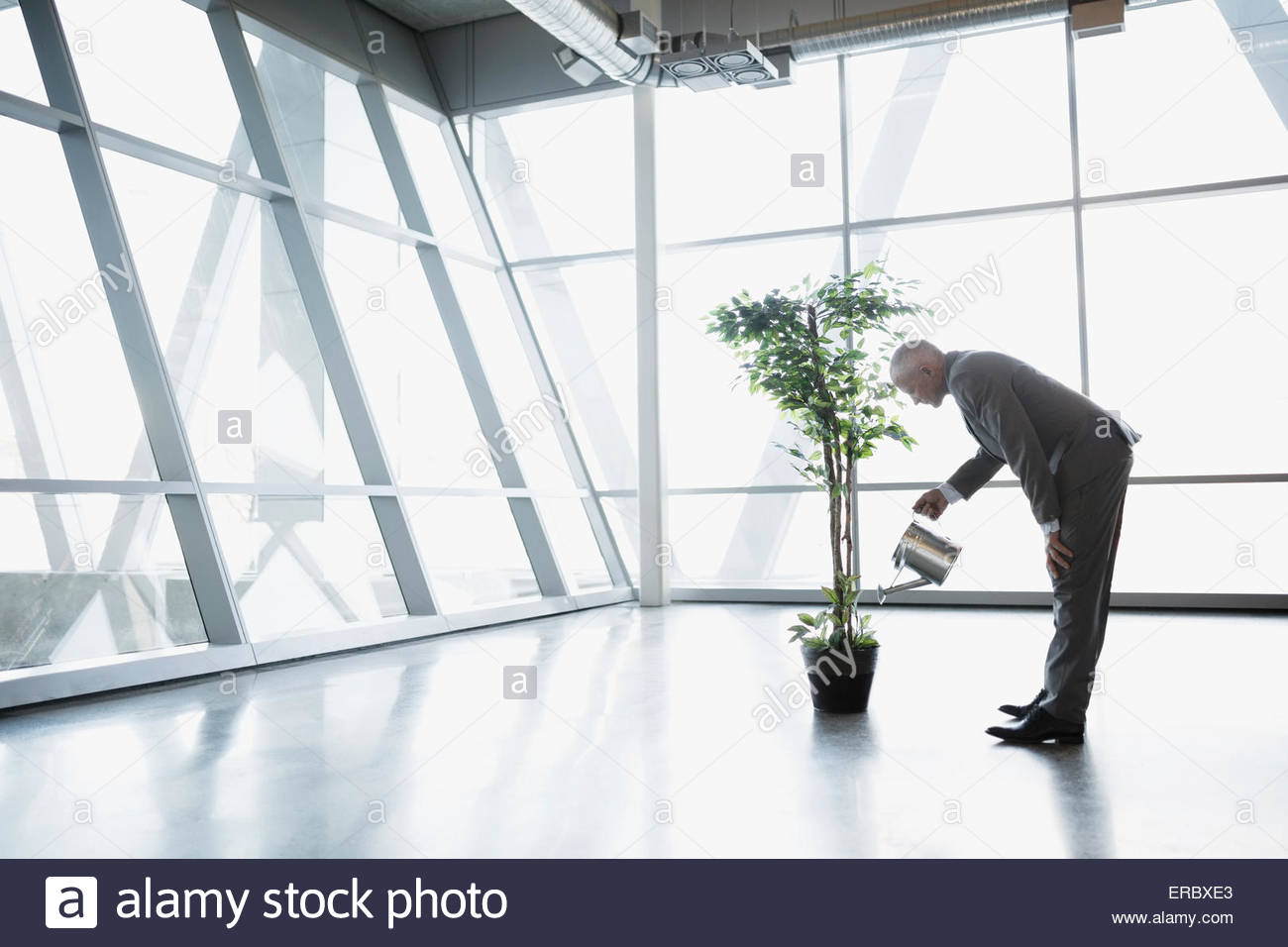 Office modern tree hi-res stock photography and images - Alamy