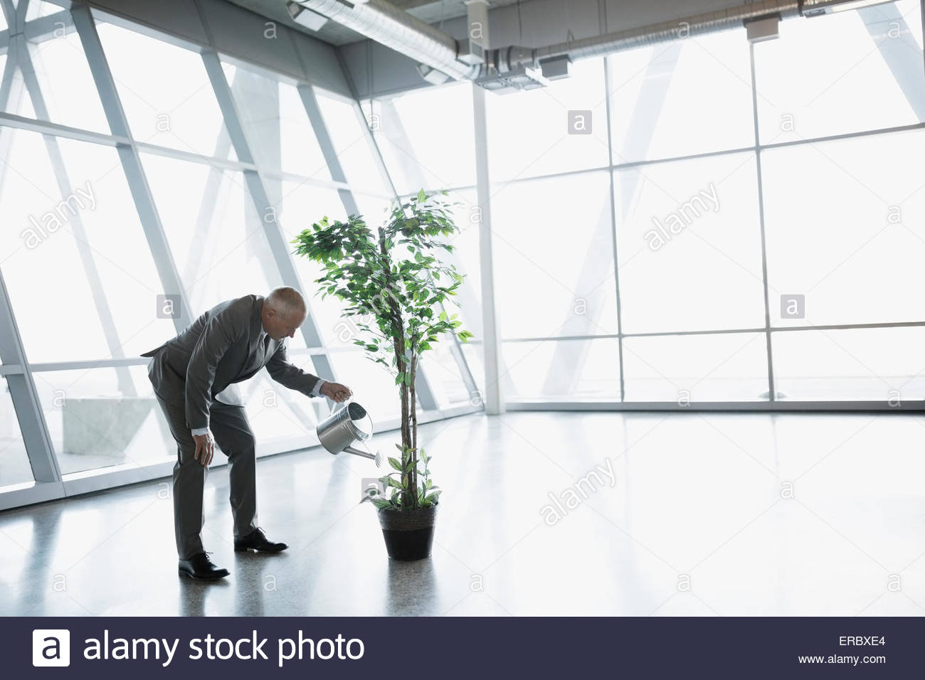 Office modern tree hi-res stock photography and images - Alamy