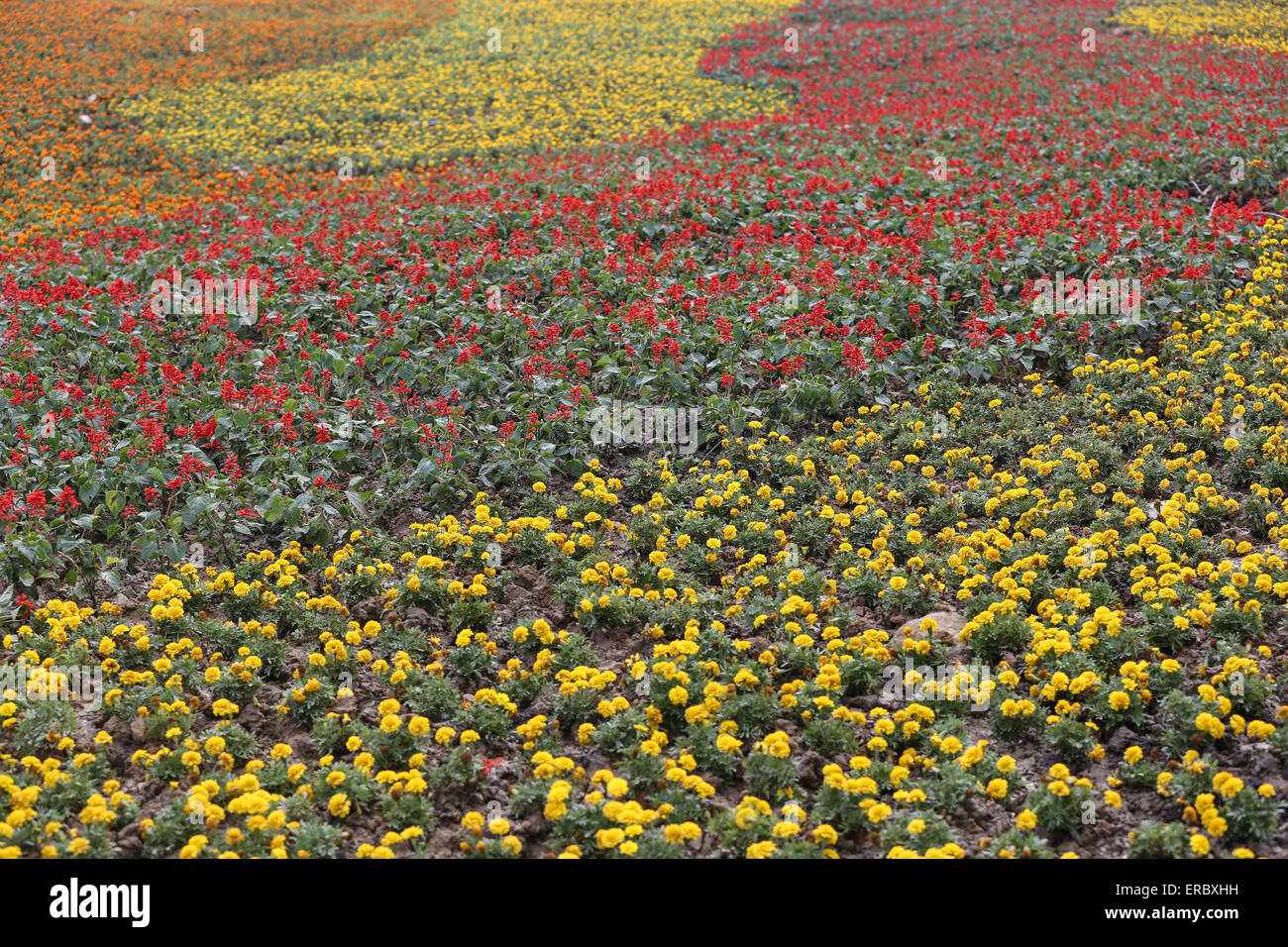 Libo County. Guizhou China Stock Photo - Alamy