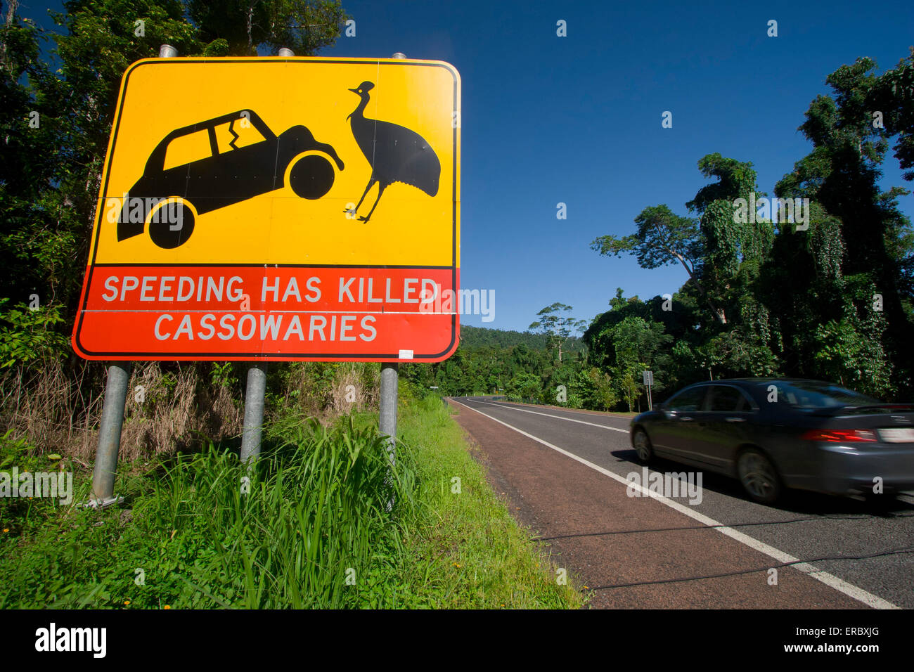 A sign warning motorists to be careful of the endangered cassowary when ...