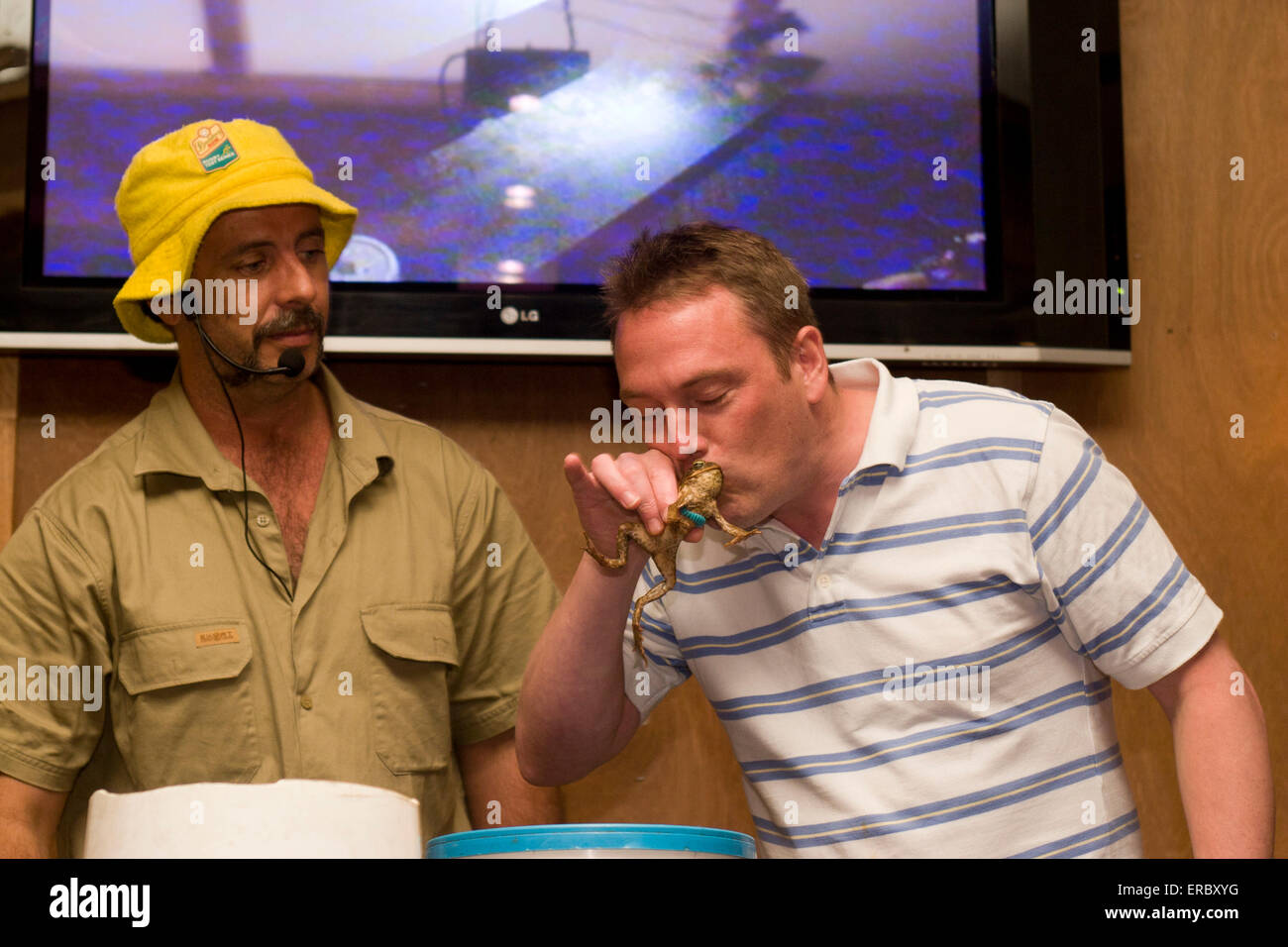 Tourists enjoy cane toad racing at the iconic Iron Bar on Macrossan St ...