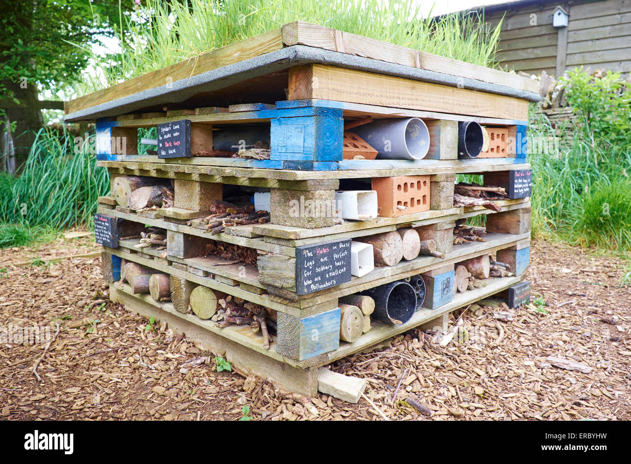 Insect hotel hi-res stock photography and images - Alamy