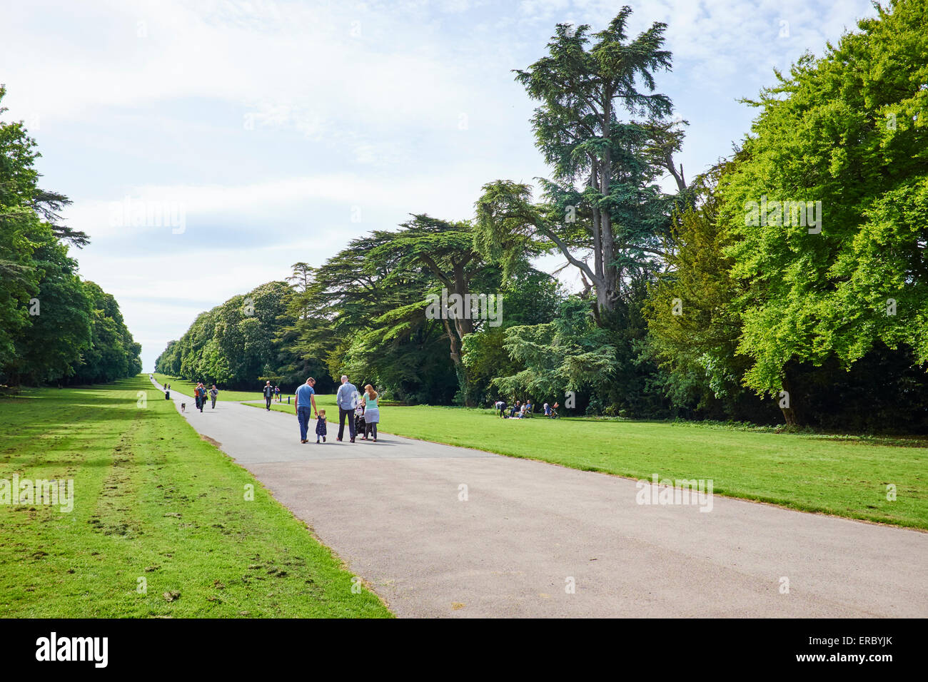 Cirencester Park Part Of The Bathurst Estate Cirencester ...