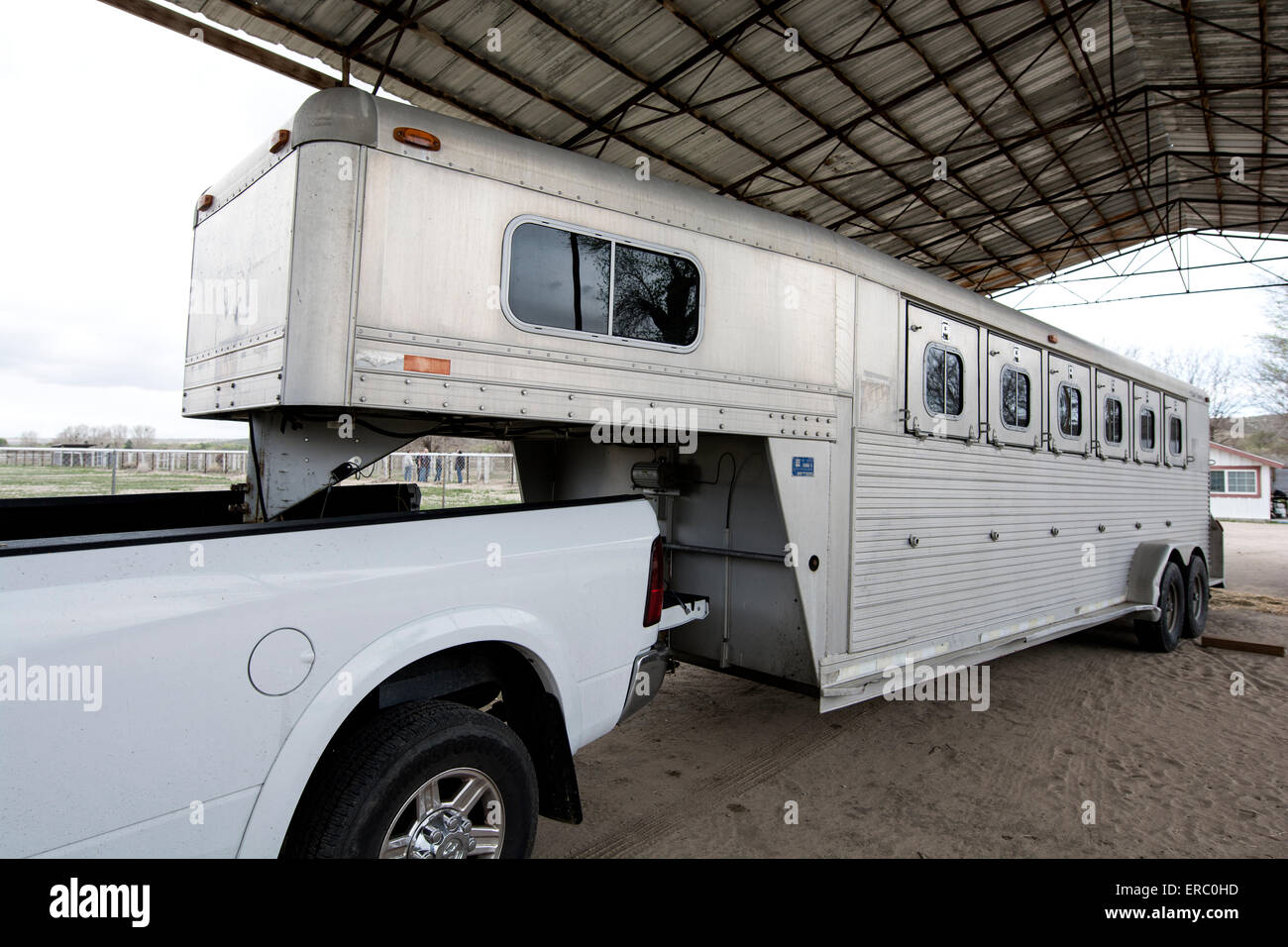 Hitched Horses High Resolution Stock Photography and Images - Alamy