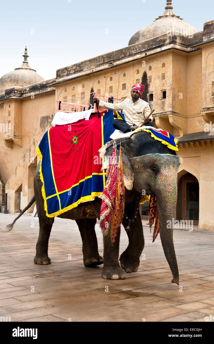 India, Rajasthan, Jaipur, Amber Fort, elephant Stock Photo - Alamy