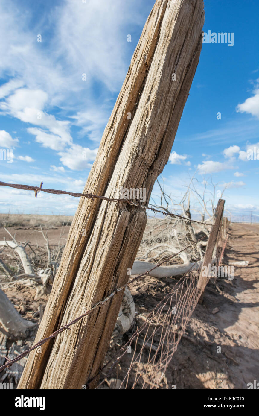 Old fence posts with barbed wire stretched between them Stock Photo - Alamy