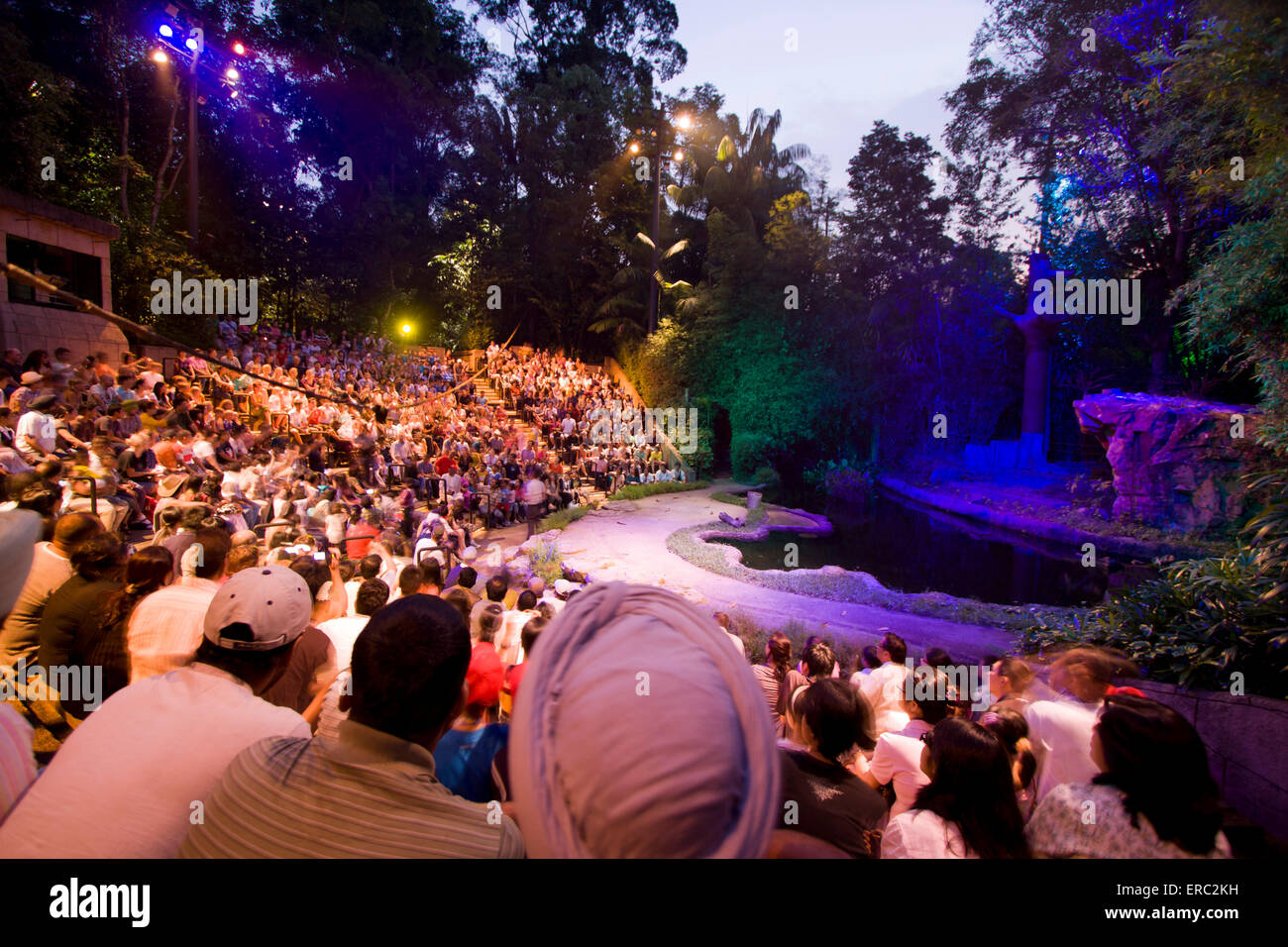 A crowd of tourists watches a night time performance at the Night ...