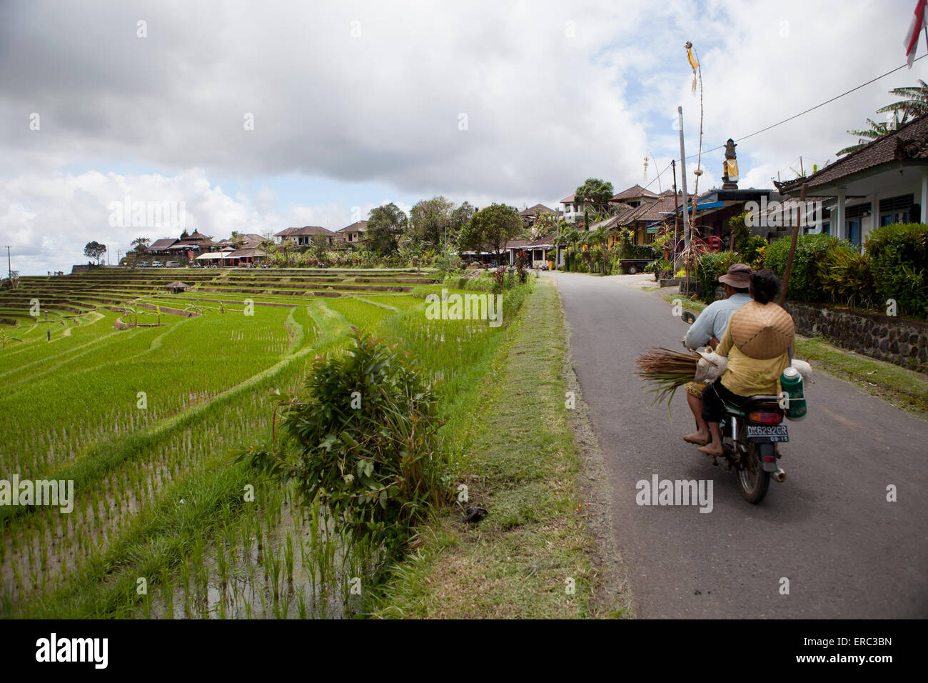 One of the most popular forms of transport on the Indonesian island of ...
