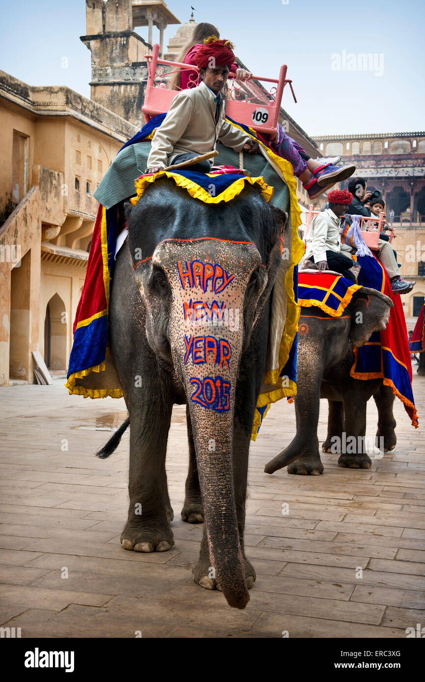 India, Rajasthan, Jaipur, Amber Fort, elephant Stock Photo - Alamy