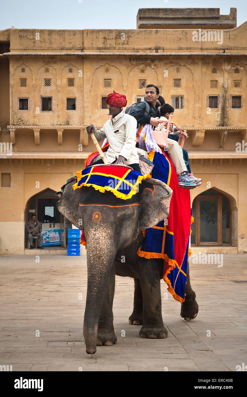 India, Rajasthan, Jaipur, Amber Fort, elephant Stock Photo - Alamy