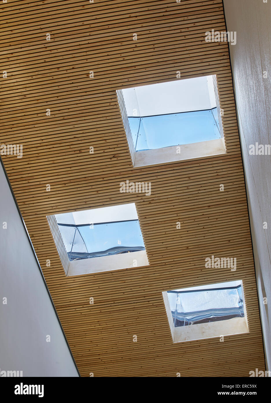 Timber clad ceiling with skylights. Herefordshire Archives, Hereford ...