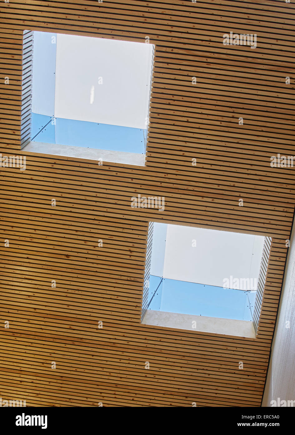 Timber clad ceiling with skylights. Herefordshire Archives, Hereford ...