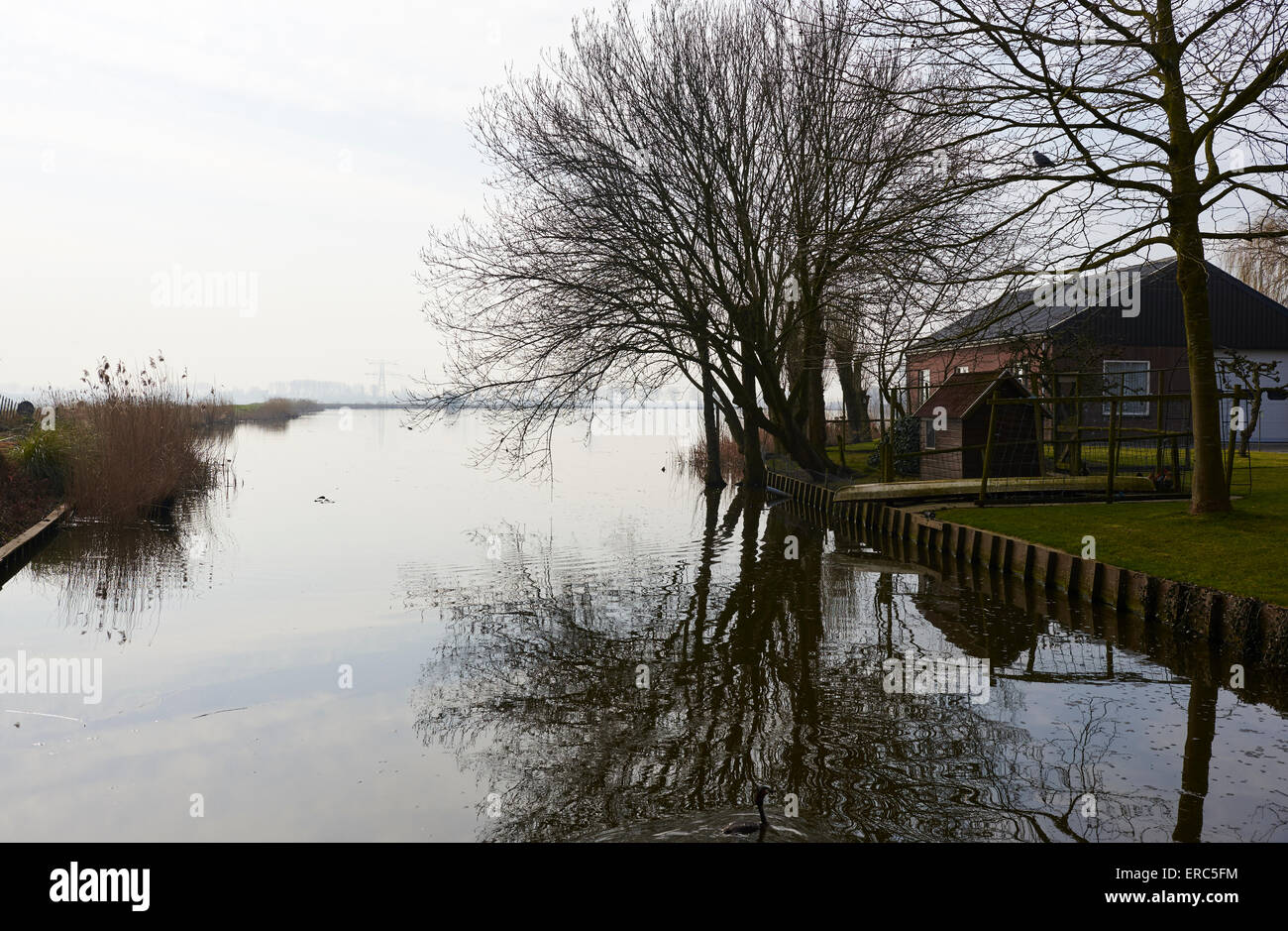 River rotte hi-res stock photography and images - Alamy