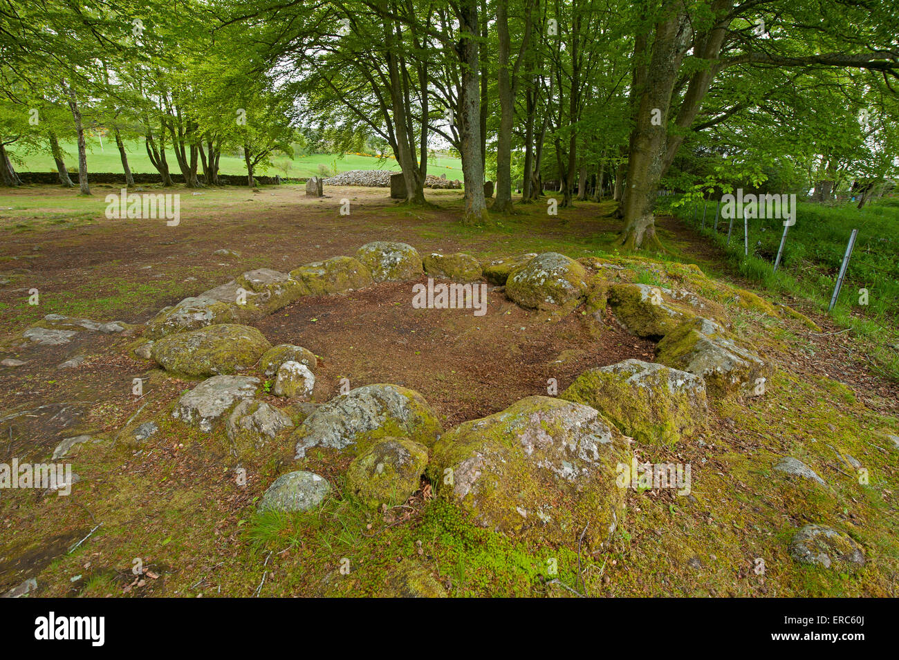 The Kerb Cairn at the Clava Cairns prehistoric site near Culloden ...