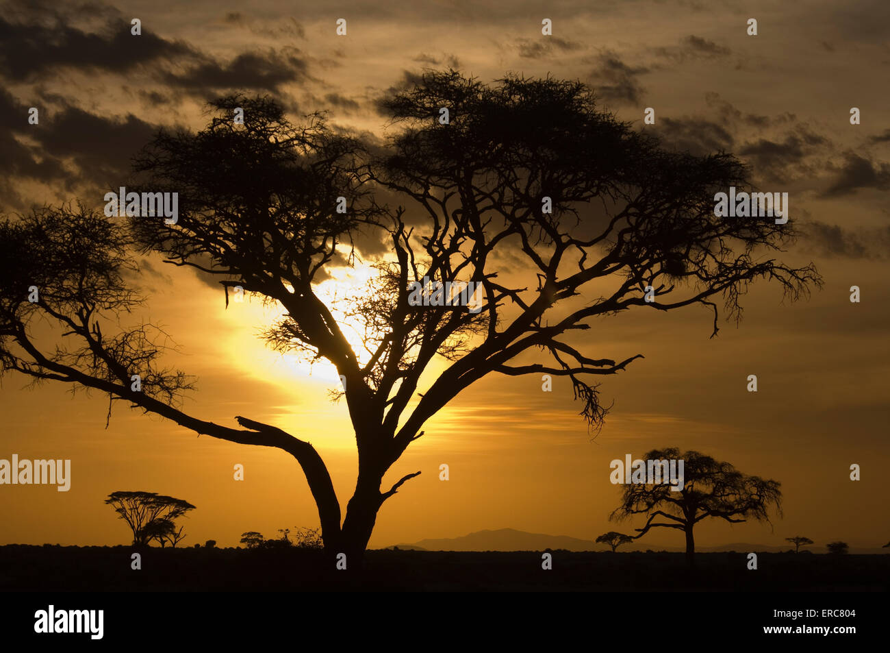 African sunset hi-res stock photography and images - Alamy