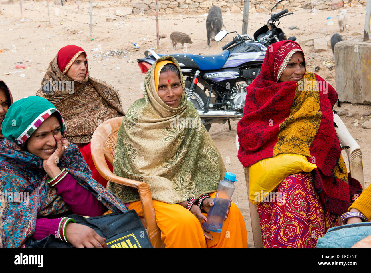 India, Rajasthan, Pushkar, daily life, women Stock Photo - Alamy