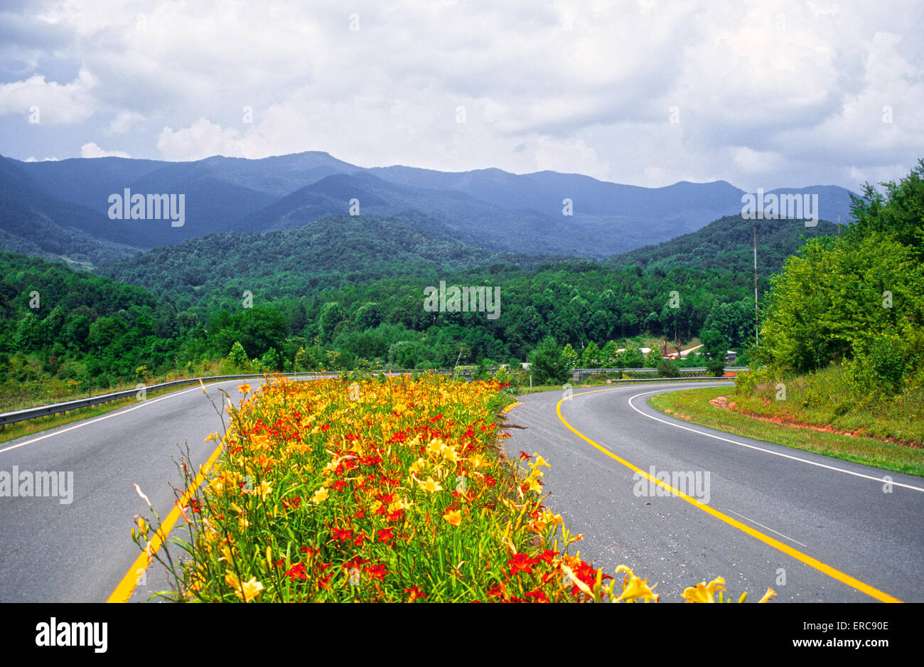 HIGHWAY BEAUTIFICATION NORTH CAROLINA Stock Photo - Alamy