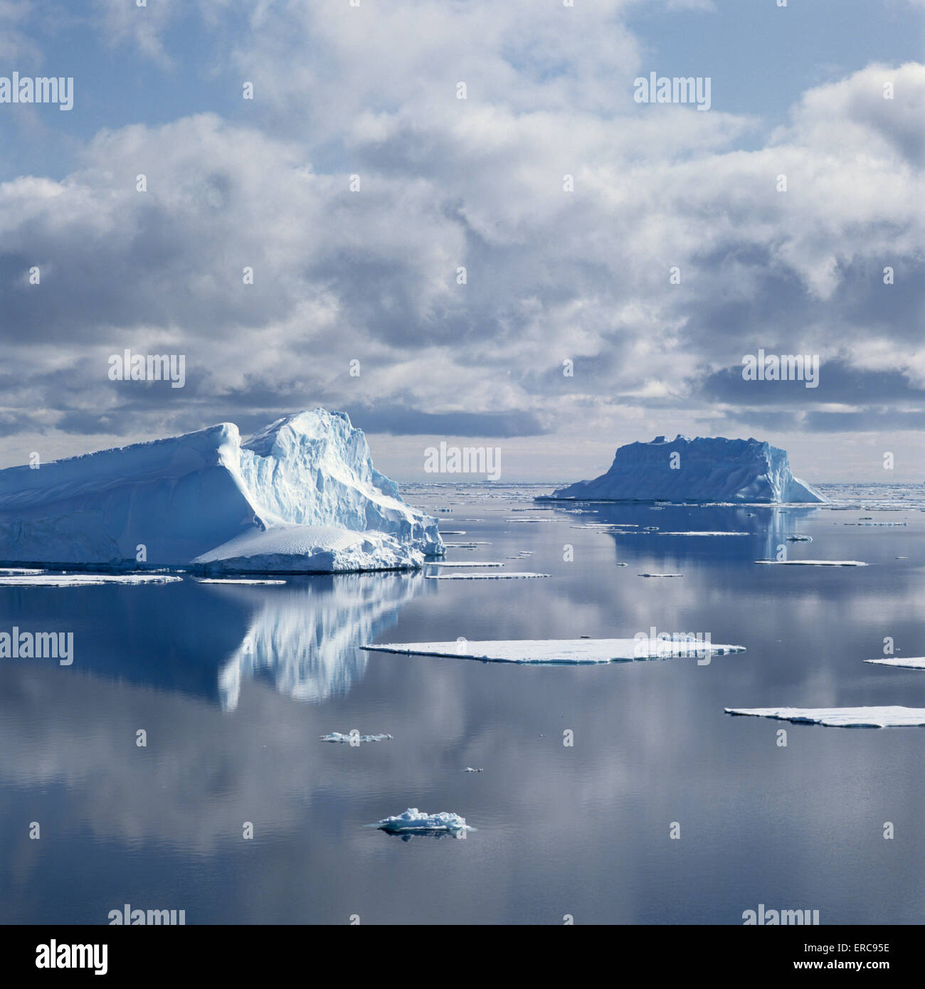 TWO LARGE ICEBERGS AND FLOATING ICE IN ANTARCTIC Stock Photo - Alamy