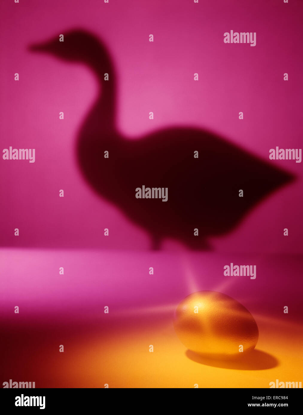 SYMBOLIC AESOP FABLE SHADOW OF GOOSE WHO LAID THE GOLDEN EGG Stock ...