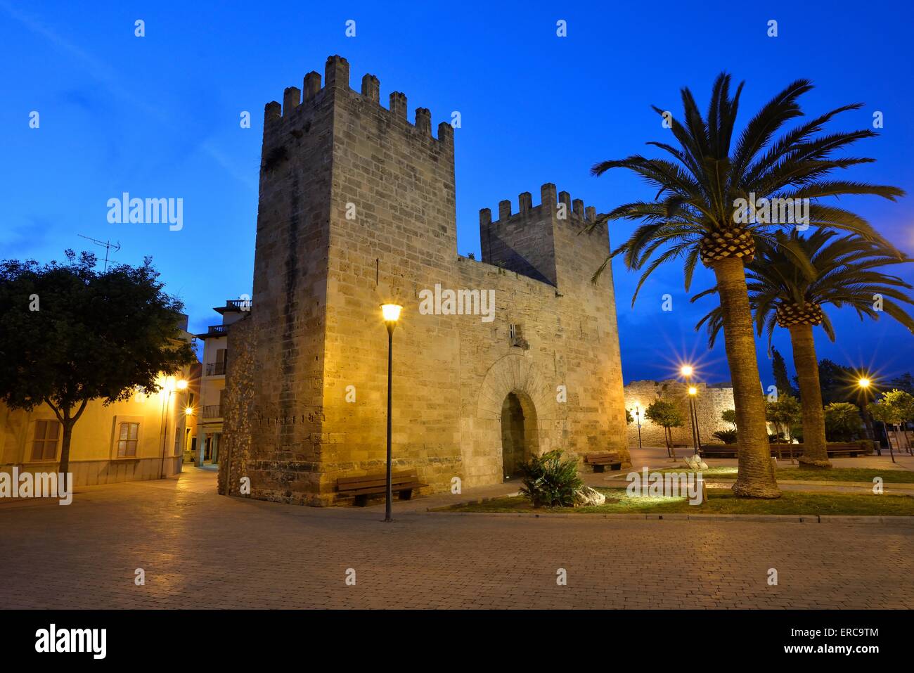 Moll hi-res stock photography and images - Alamy