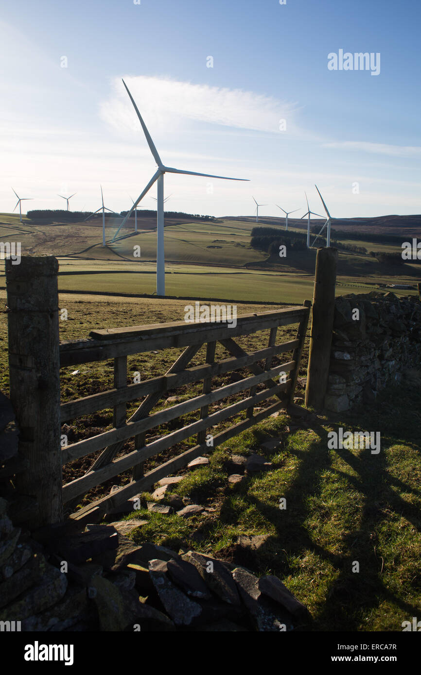 Morning sun over fields of wind turbines. The Borders of Scotland is ...