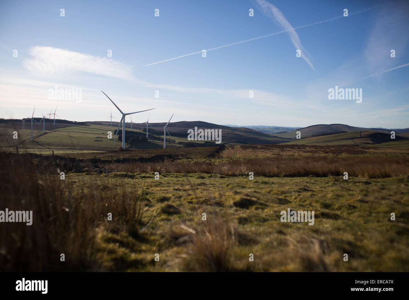 Morning sun over fields of wind turbines. The Borders of Scotland is ...