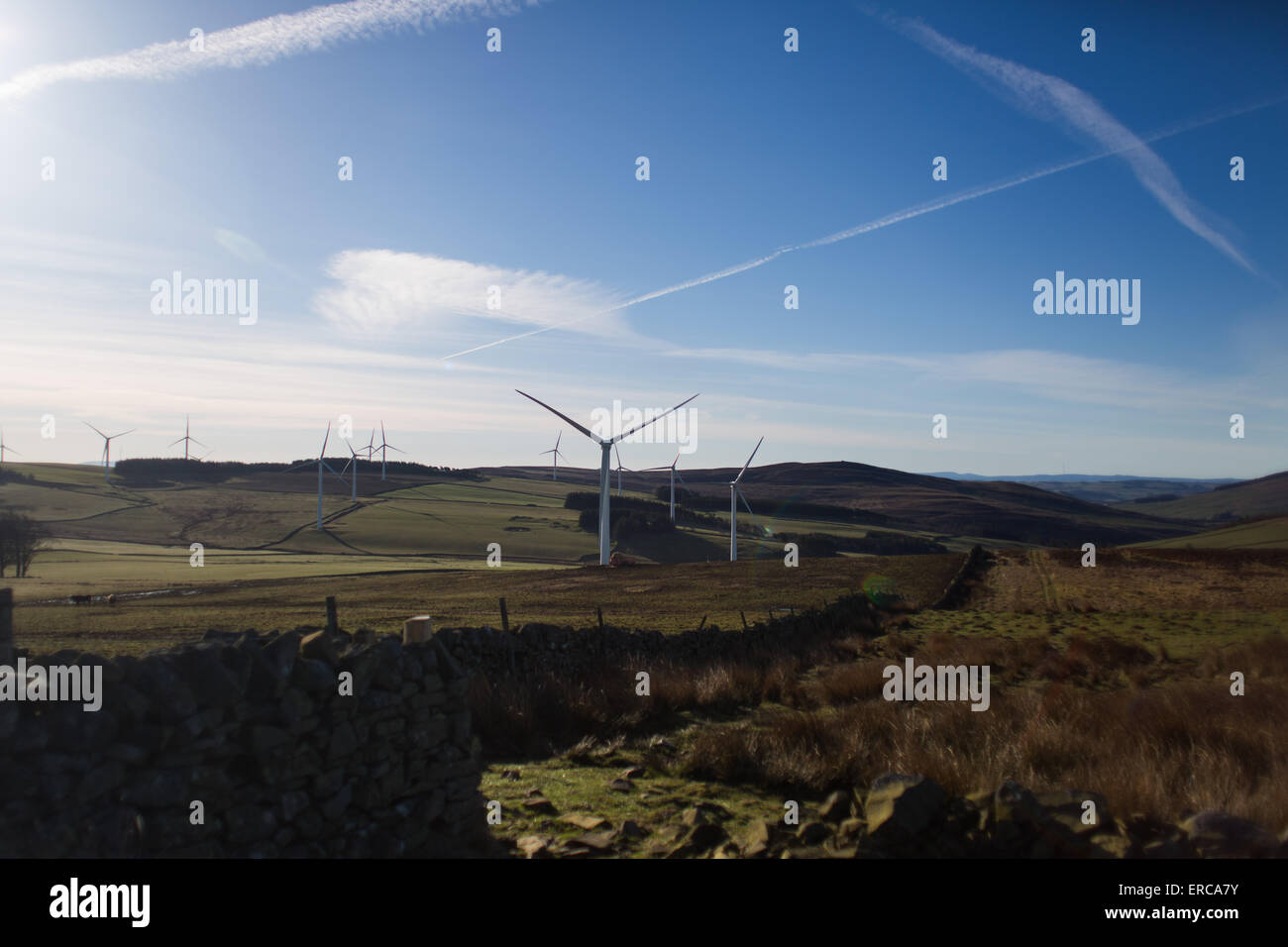 Morning sun over fields of wind turbines. The Borders of Scotland is ...