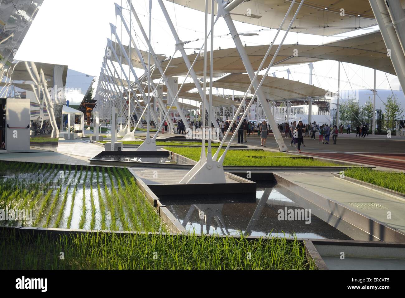 Milan (Italy), World Exhibition Expo 2015, thematic cluster of rice ...