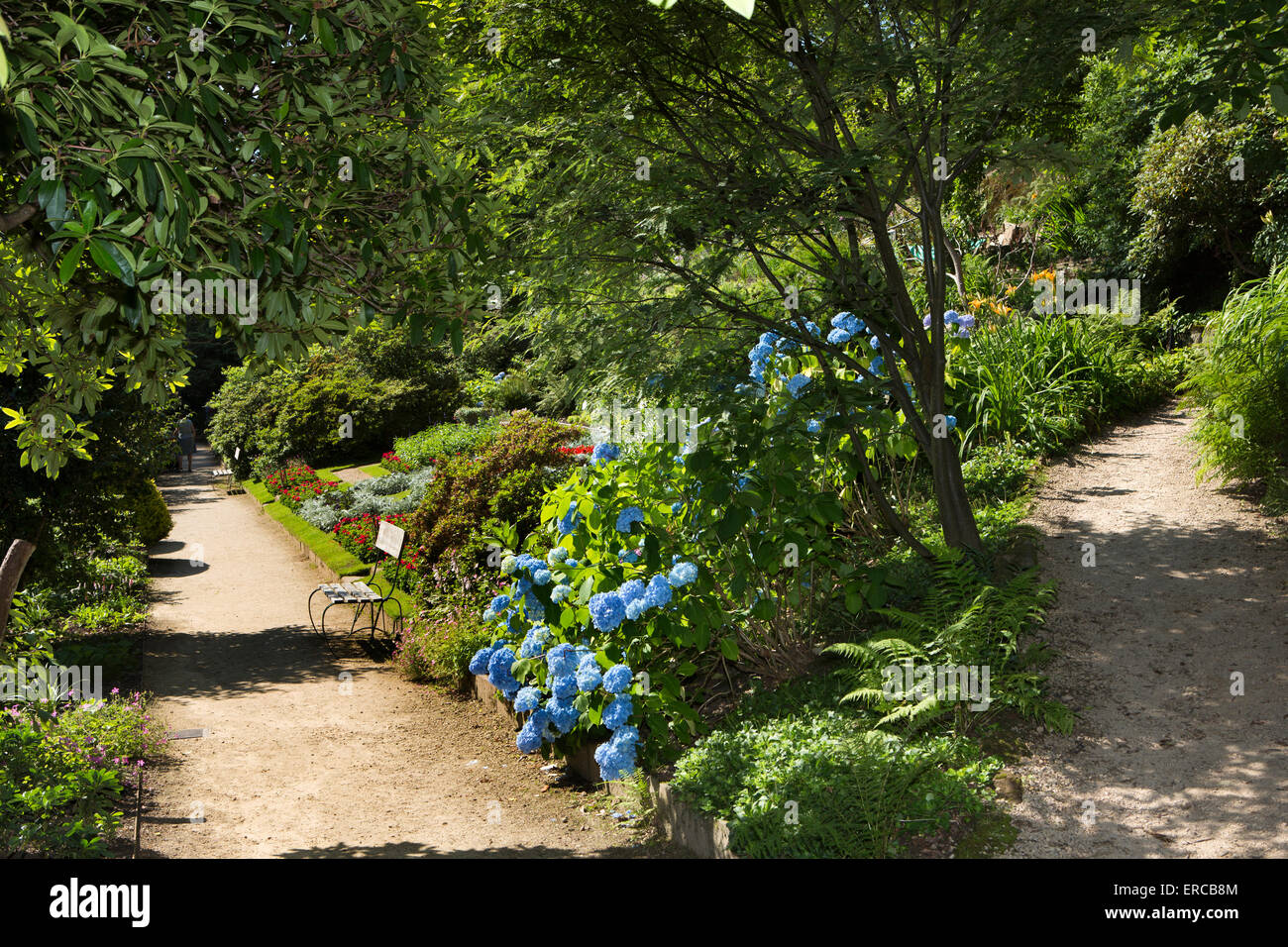 UK, England, Cheshire, Styal, Quarry Bank house gardens, Terrace Garden ...