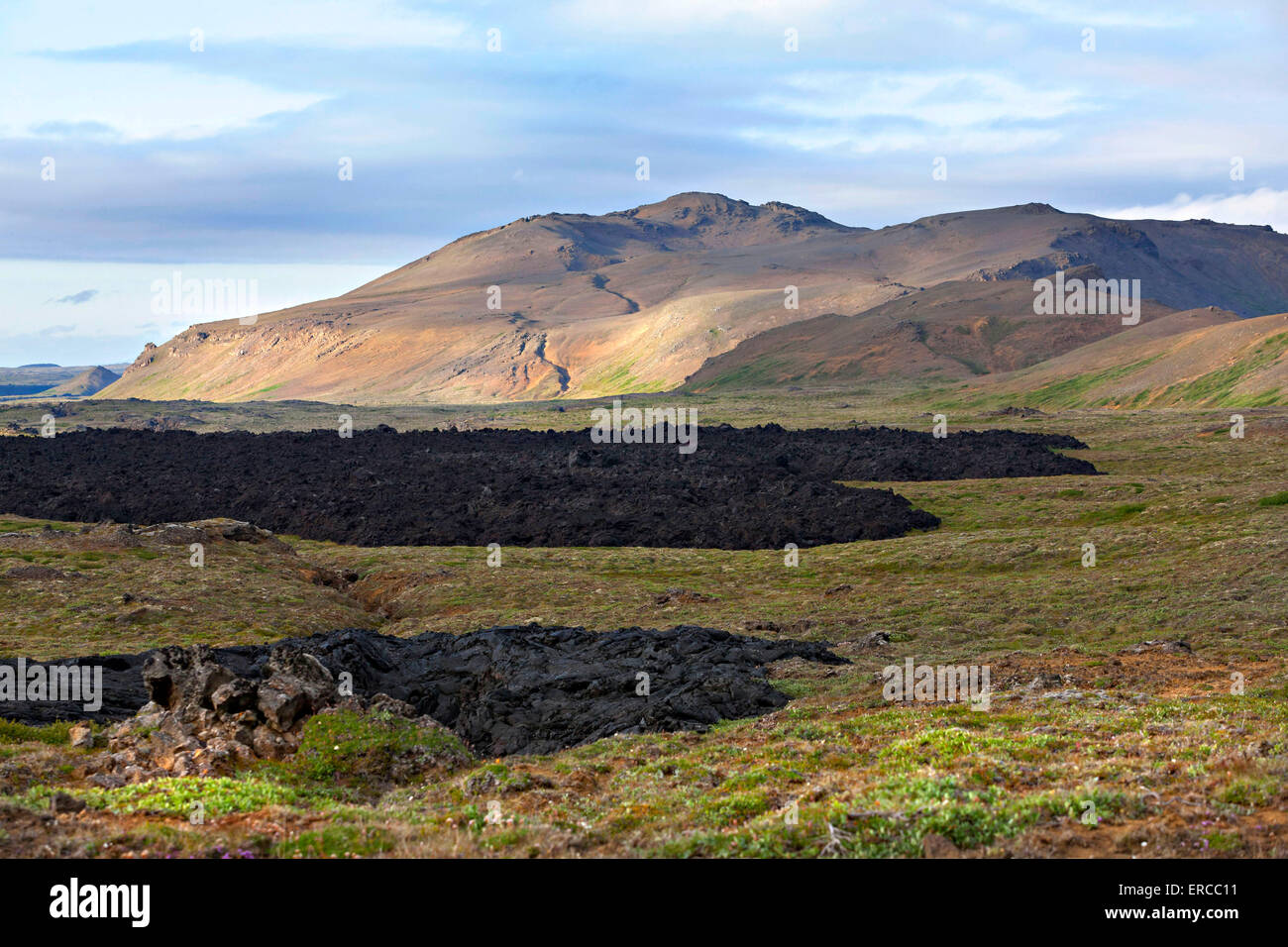Cold black dry Lava Landscape, Central Highlands, Iceland Stock Photo ...