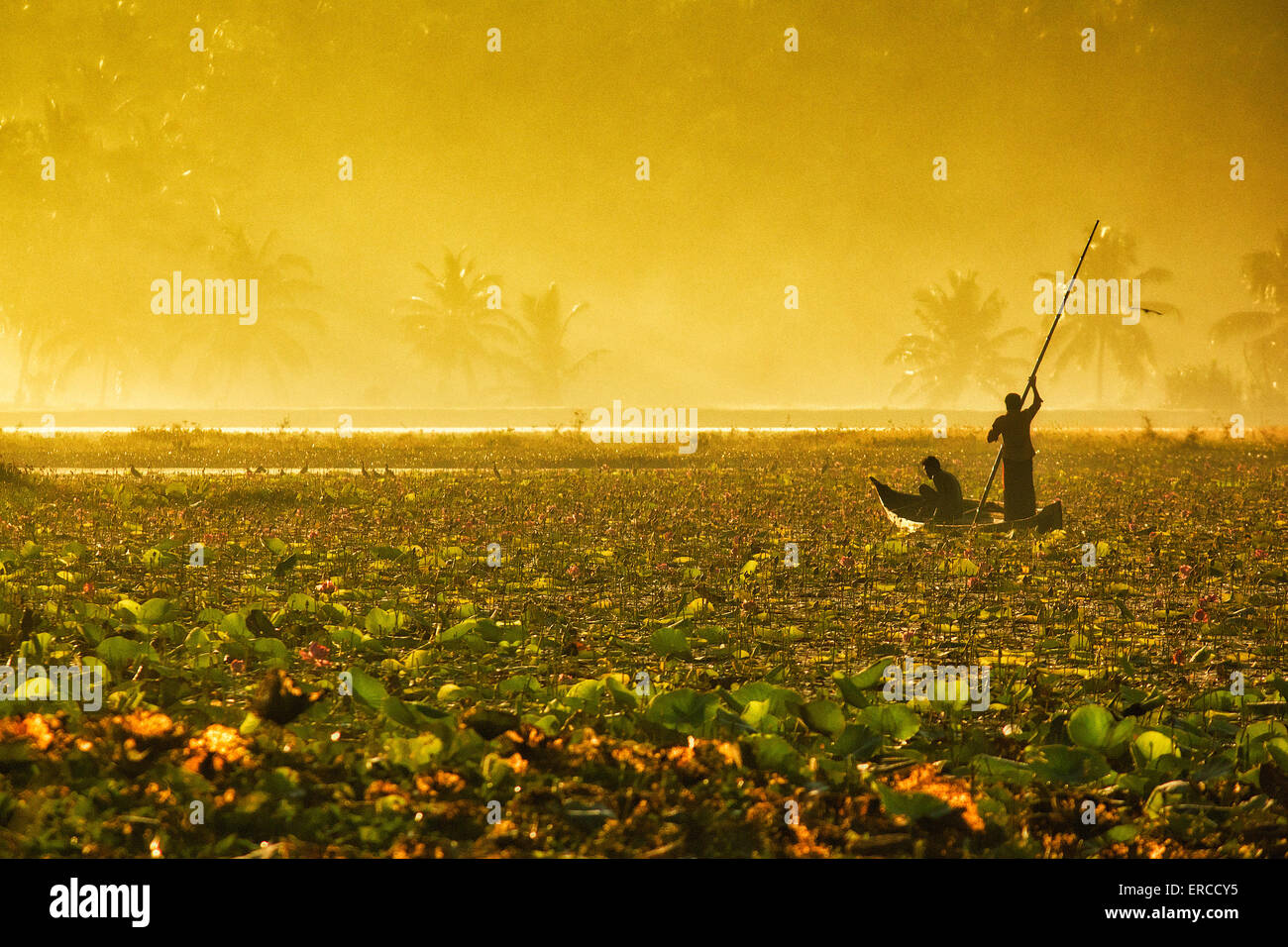 India coconut cycle hi-res stock photography and images - Alamy
