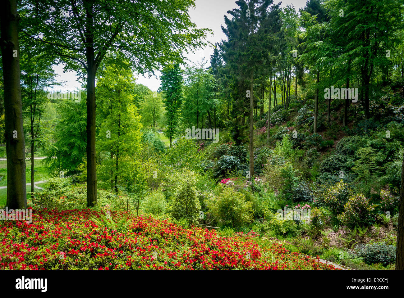 The Himalayan Garden and Sculpture Park Stock Photo - Alamy
