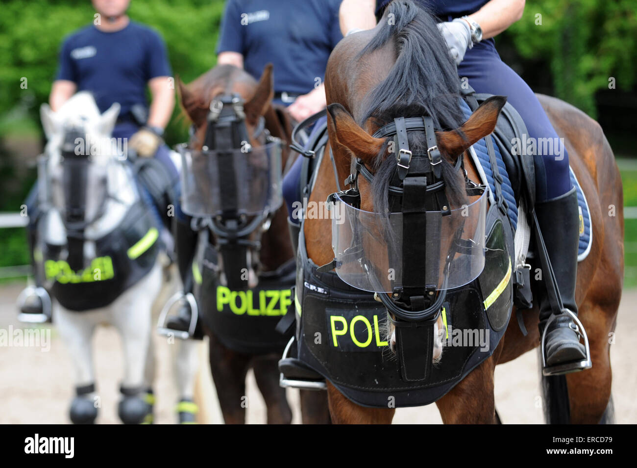 dpa-exclusiv - The federal mounted police practices for demosntrations ...