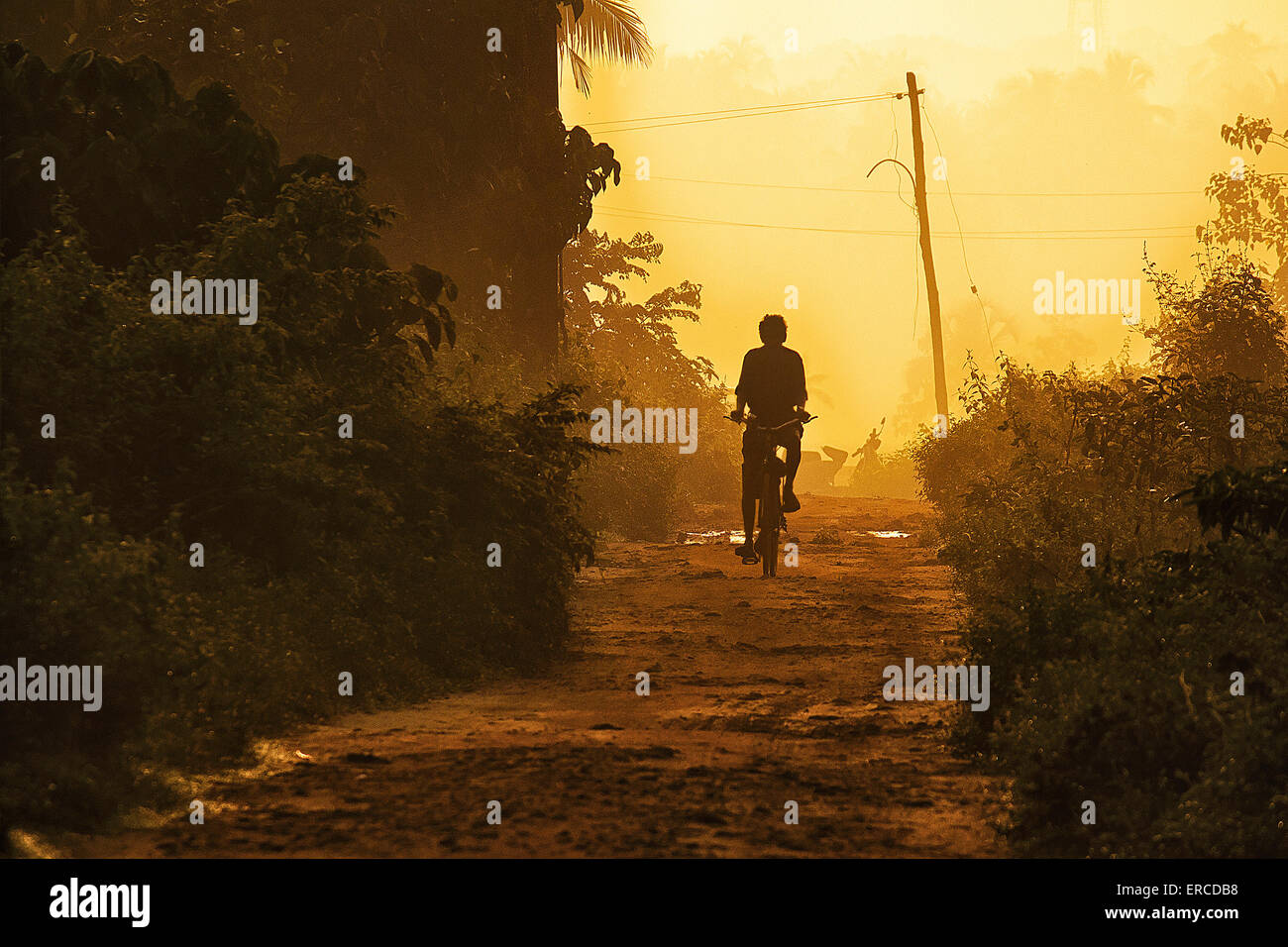 Morning cycle ride hi-res stock photography and images - Alamy