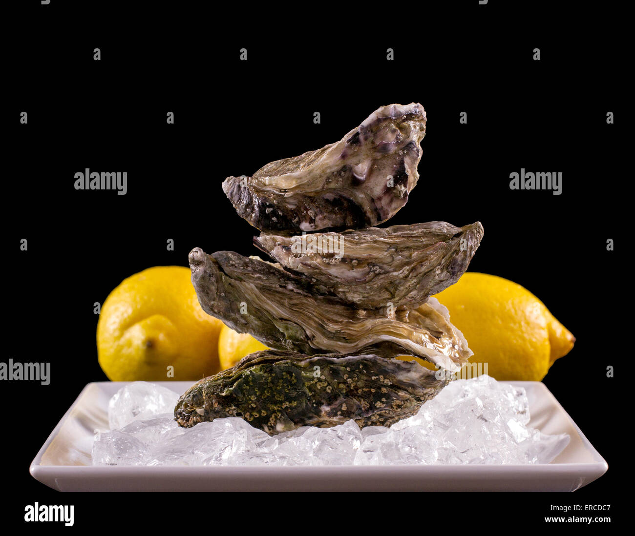 Four oyster shell on ice with lemon as balance stack, black background ...